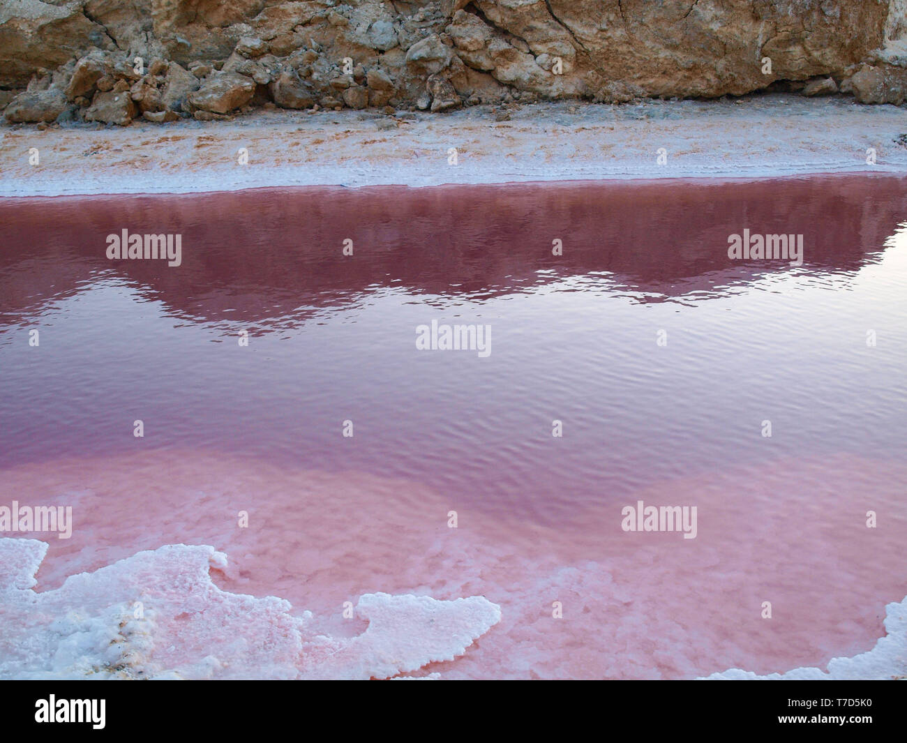 Chott el Djerid - salt lake and salt flats in the salty desert in ...