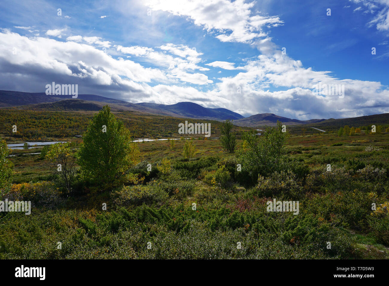 Otta norway hi-res stock photography and images - Alamy