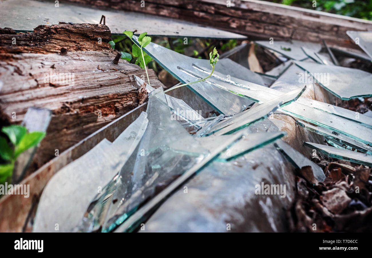 Shattered glass pieces hi-res stock photography and images - Alamy