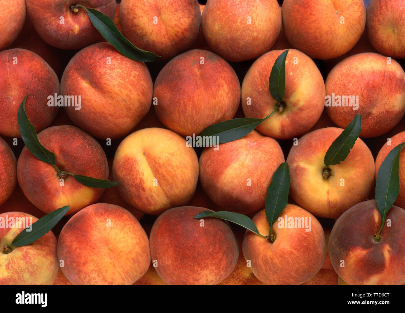 Peach Fruit Texture