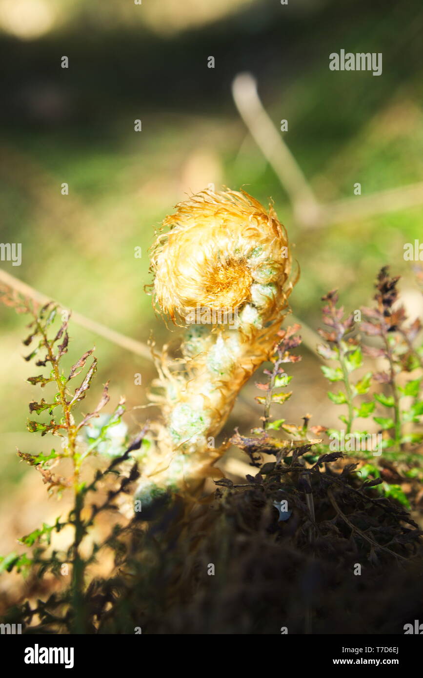 Alaska shield hi-res stock photography and images - Alamy