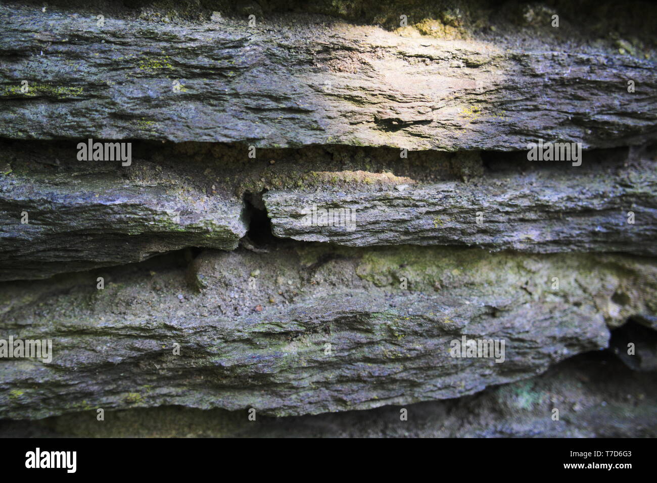 Schistose hi-res stock photography and images - Alamy