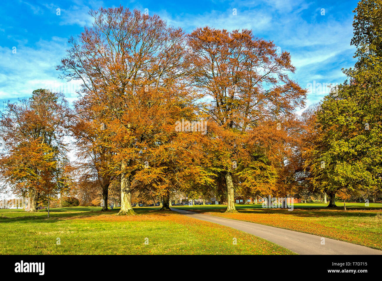 Rushmore park golf course hi-res stock photography and images - Alamy