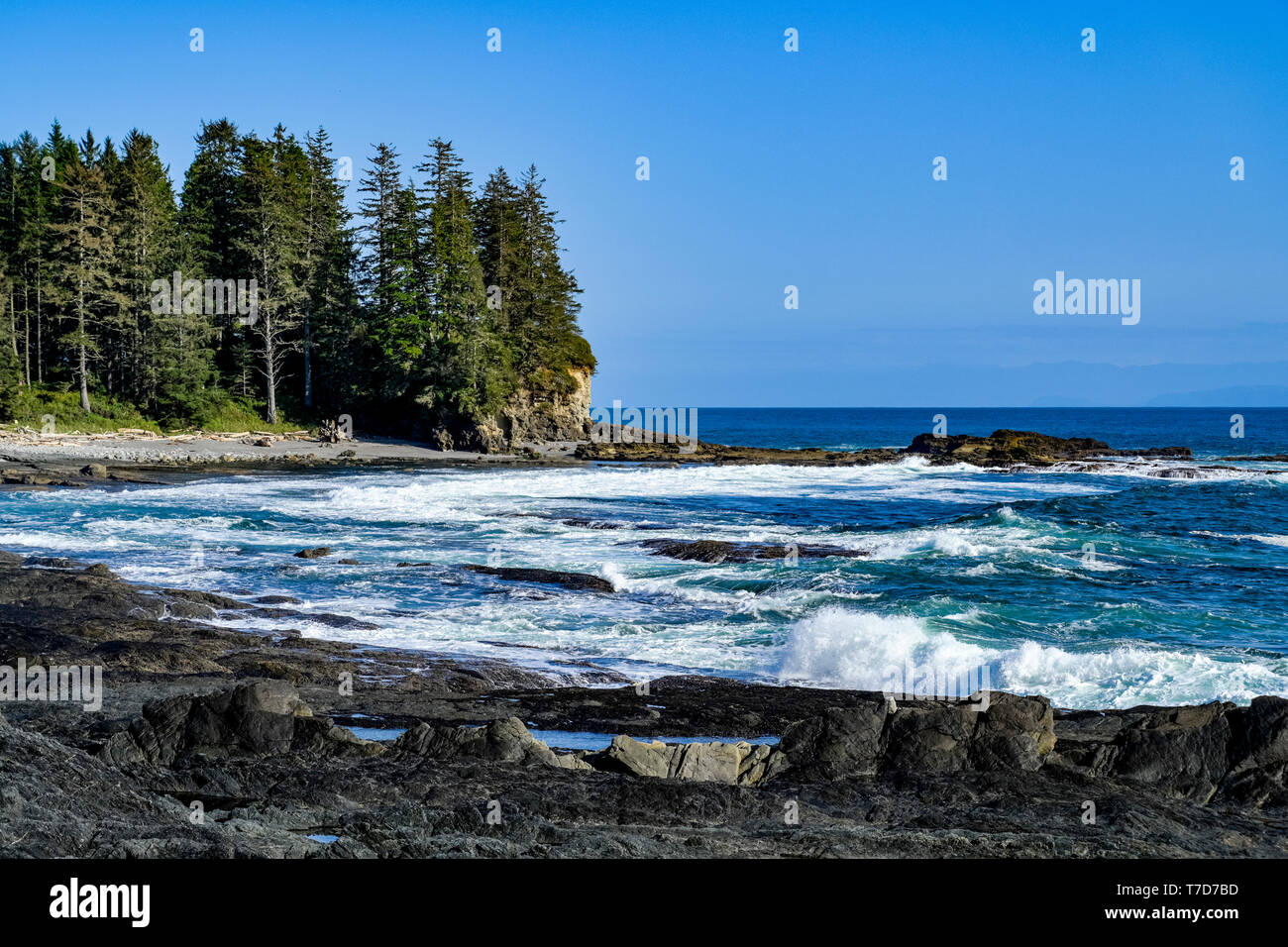 Botanical beach provincial park hi-res stock photography and images - Alamy
