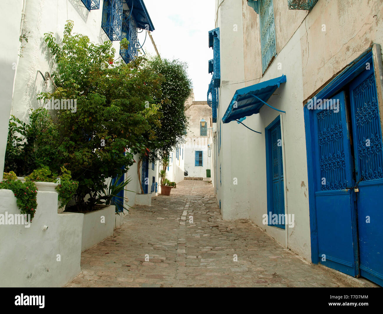 Streets, doors and buildings close to the center of Sidi Bou Said, the ...