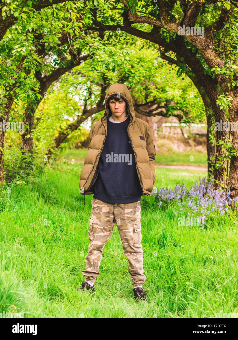 Camo tree hi-res stock photography and images - Alamy