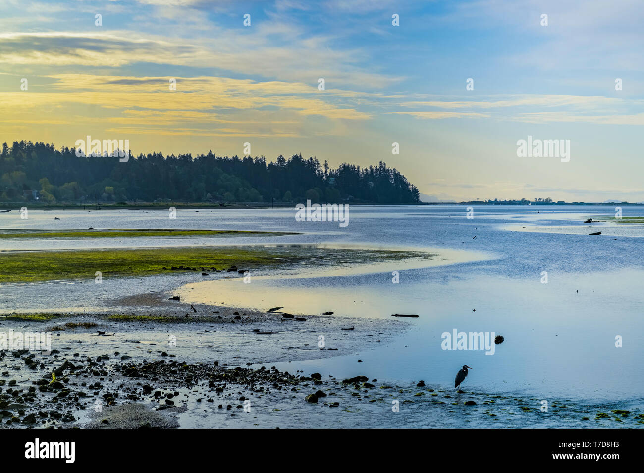 Courtenay estuary hi-res stock photography and images - Alamy