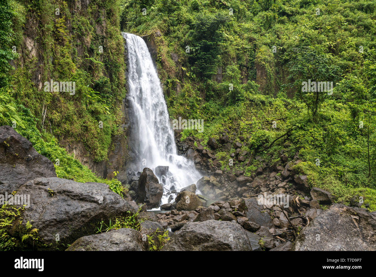 Morne trois pitons nationalpark hi-res stock photography and images - Alamy
