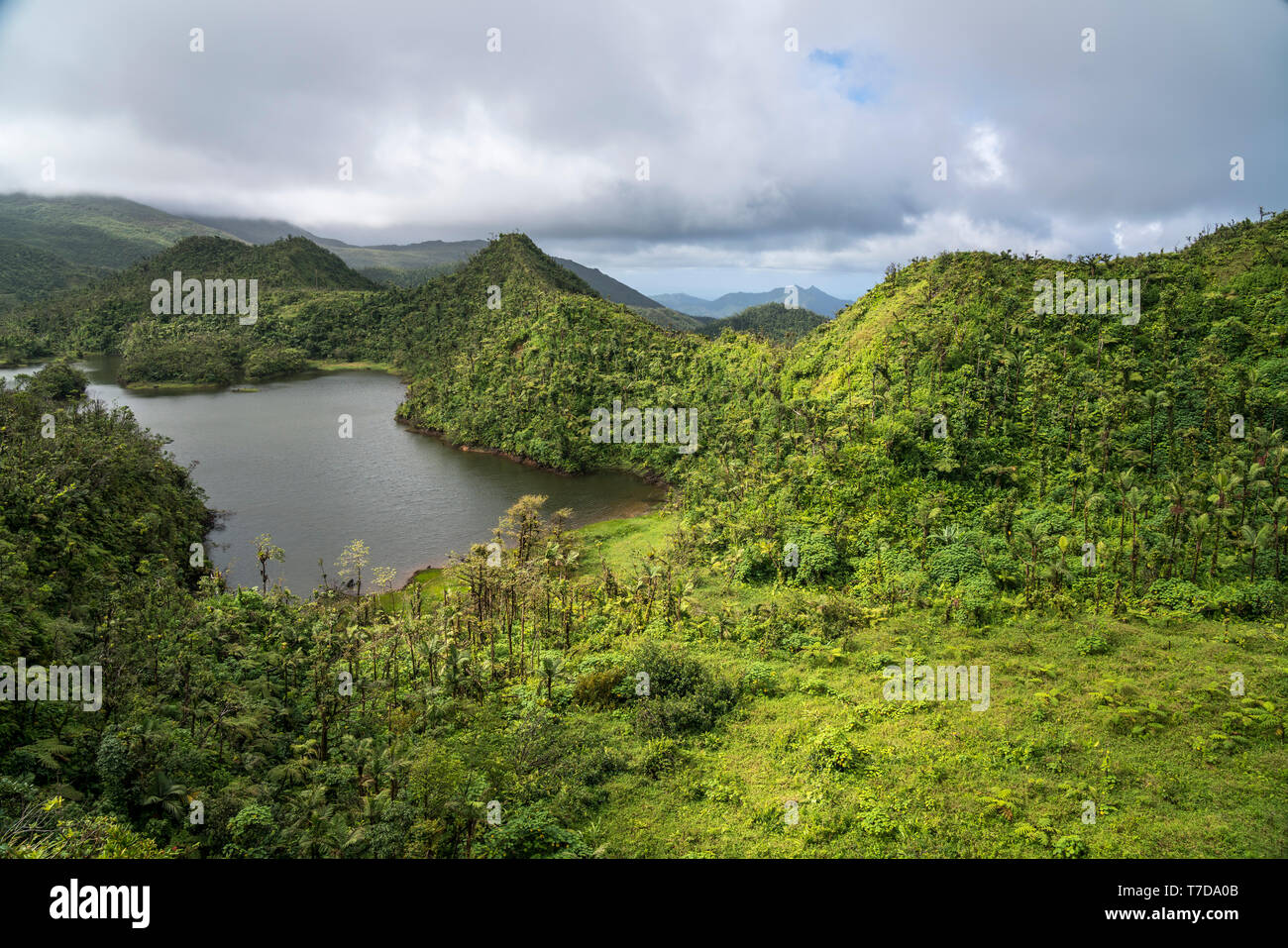 Der See Freshwater Lake im Morne Trois Pitons Nationalpark, Dominica ...