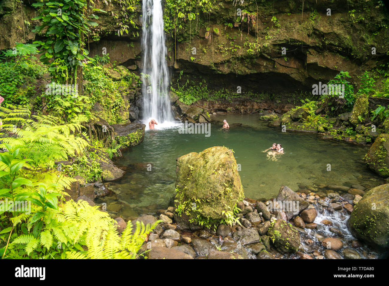 Dominica waterfall emerald pool hi-res stock photography and images - Alamy