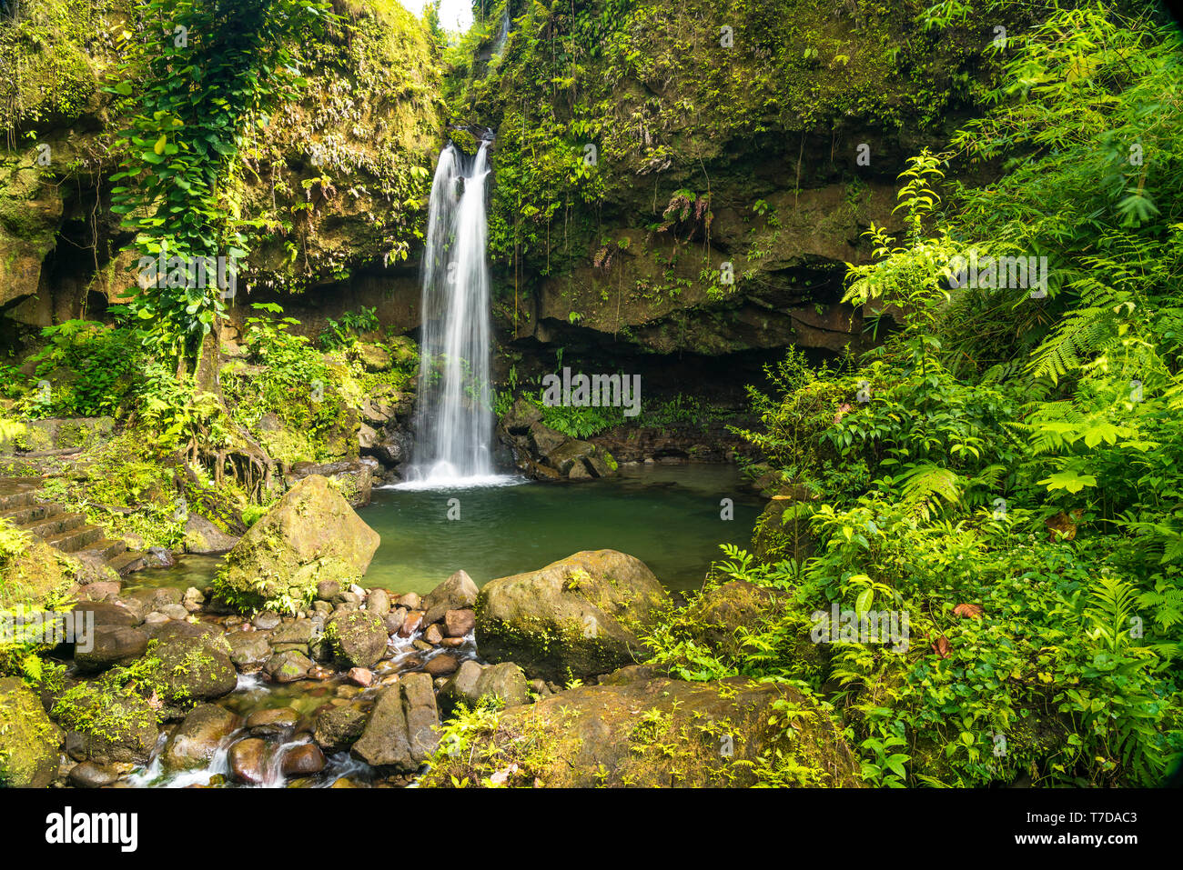Emerald Pool und Wasserfall im Morne Trois Pitons Nationalpark ...