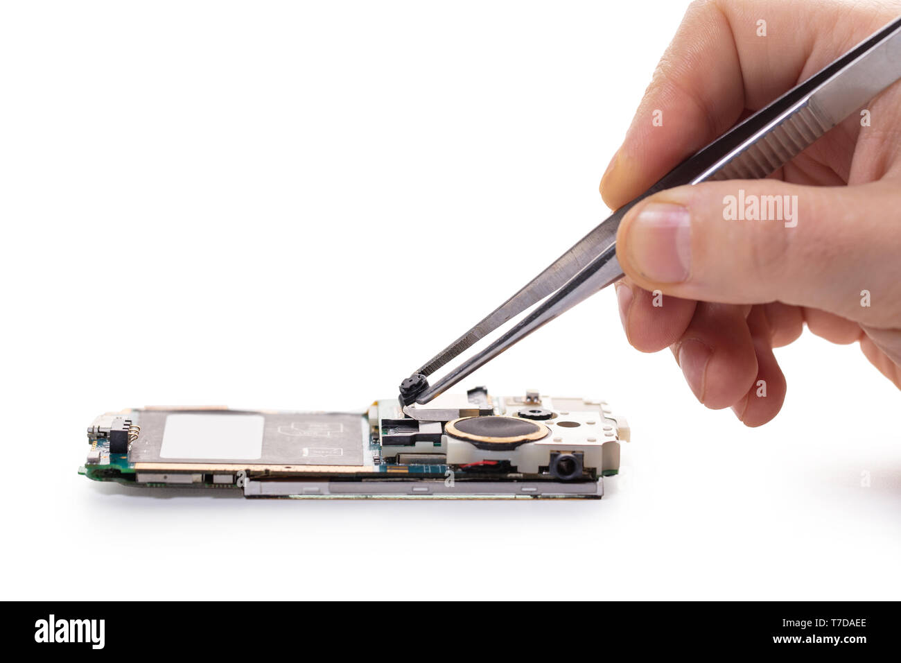mobile phone repair, hands closeup on a white isolated background Stock ...