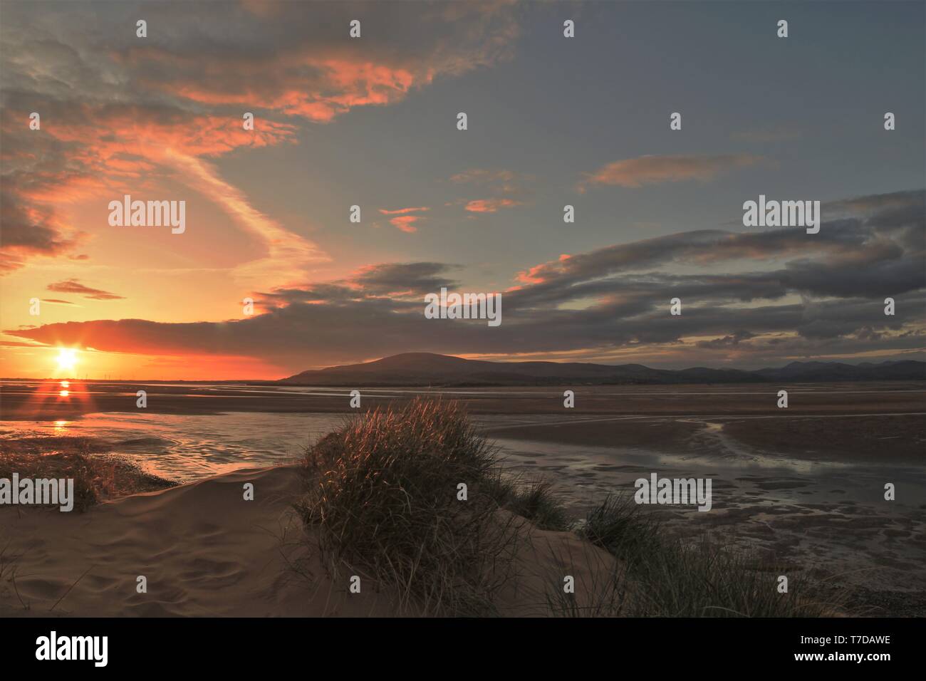 Sandscale haws national nature reserve hi-res stock photography and ...