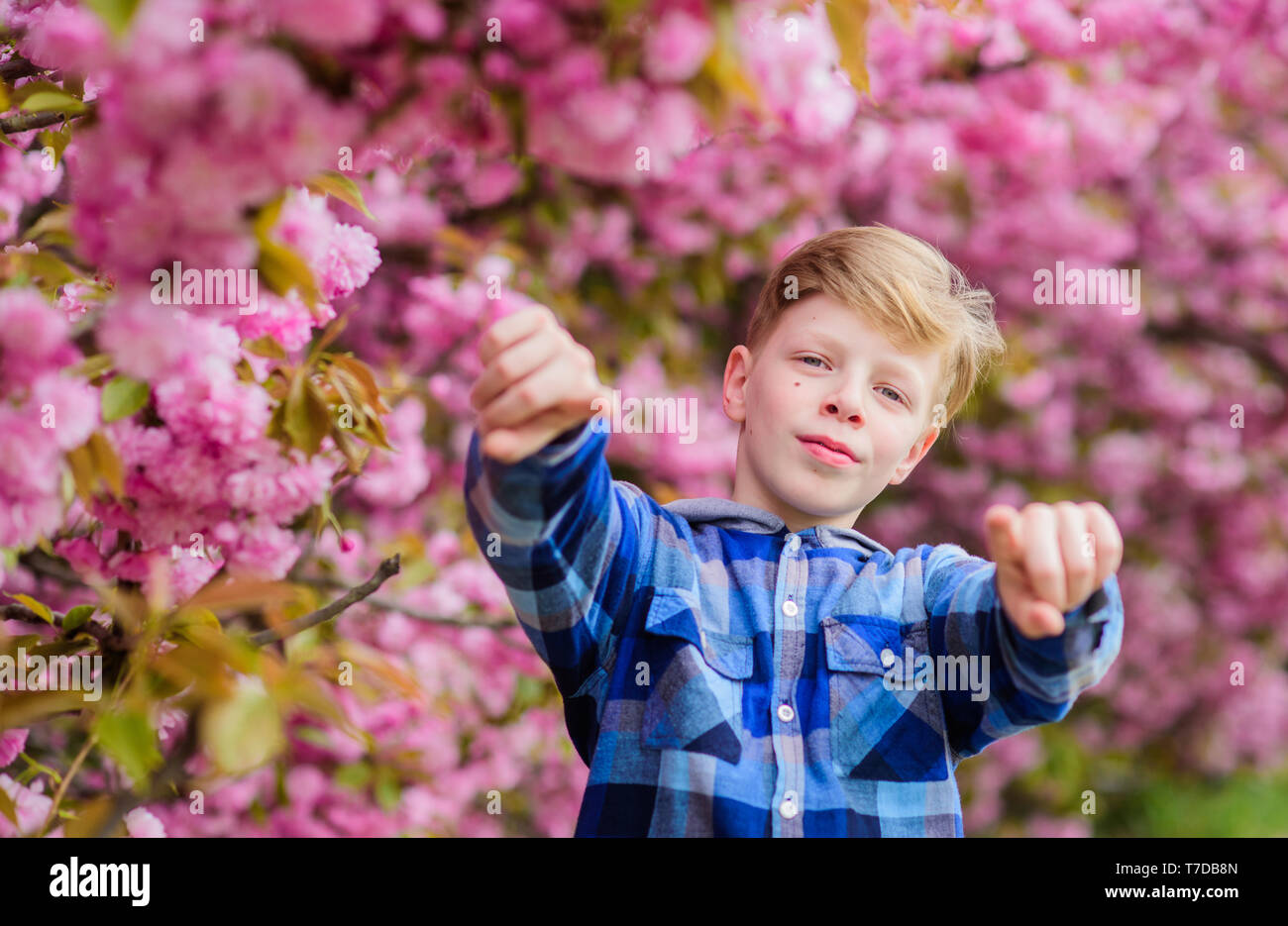 Guy enjoying cherry blossom sakura. Tender bloom. Cute child enjoy warm ...