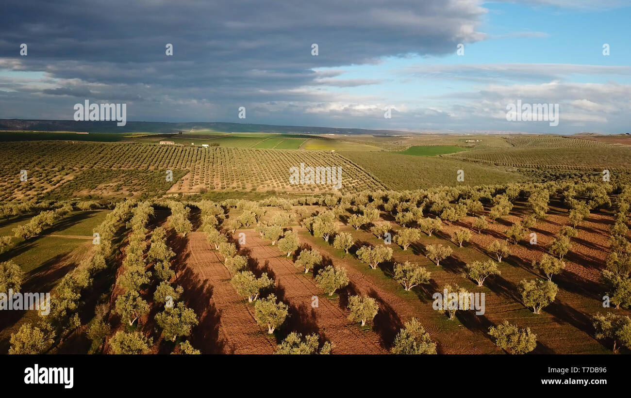 Aerial green fields in morocco hi-res stock photography and images - Alamy