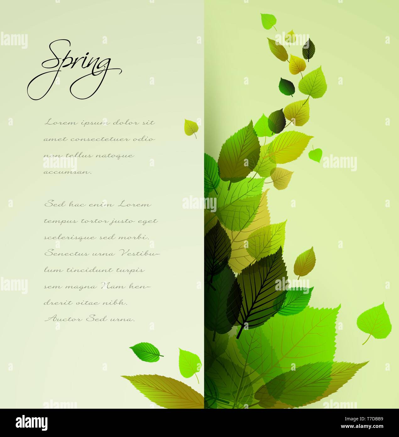 Fresh Spring abstract floral background with place for your text Stock ...