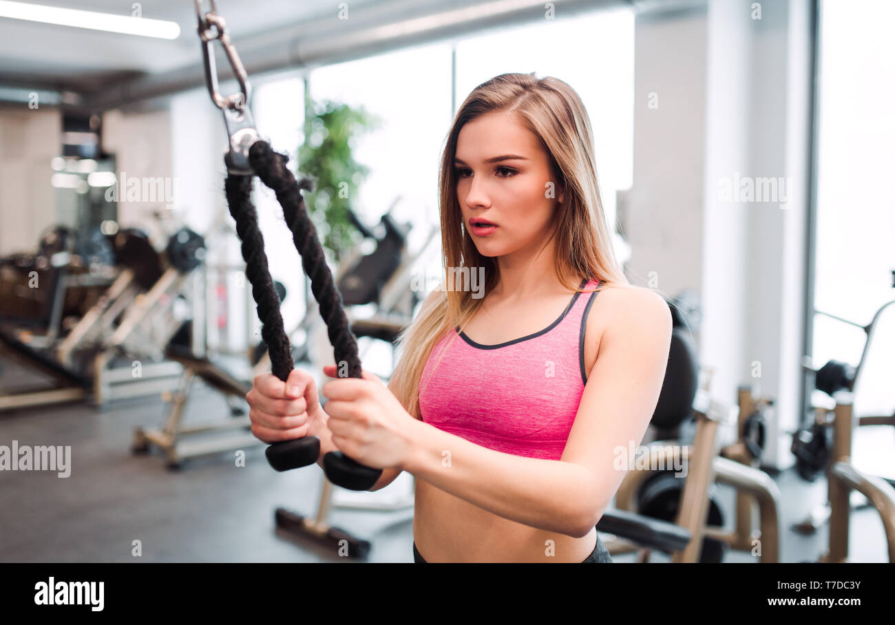 A beautiful young girl or woman doing strength workout in a gym Stock ...