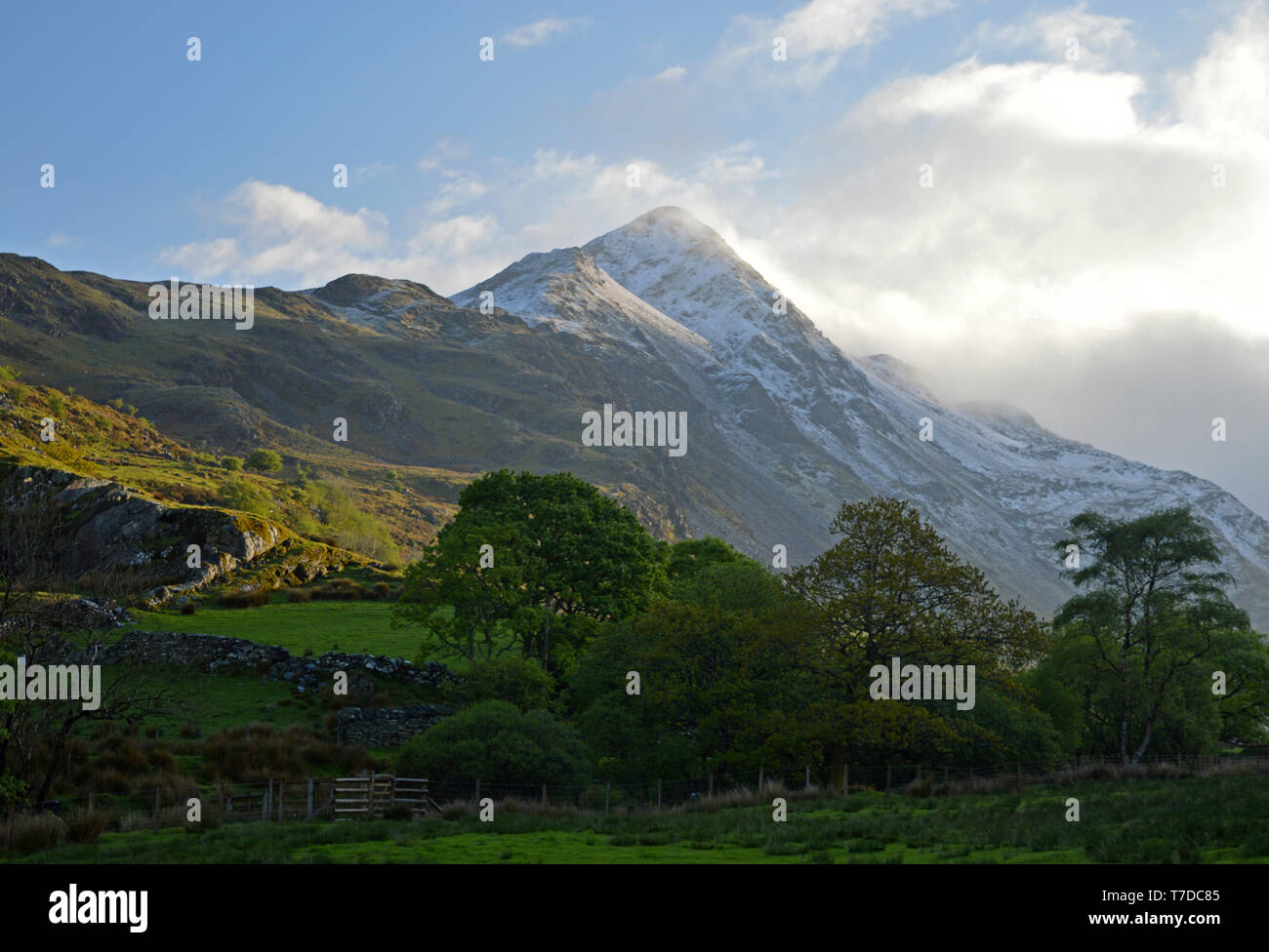 Slopes of cnicht hi-res stock photography and images - Alamy