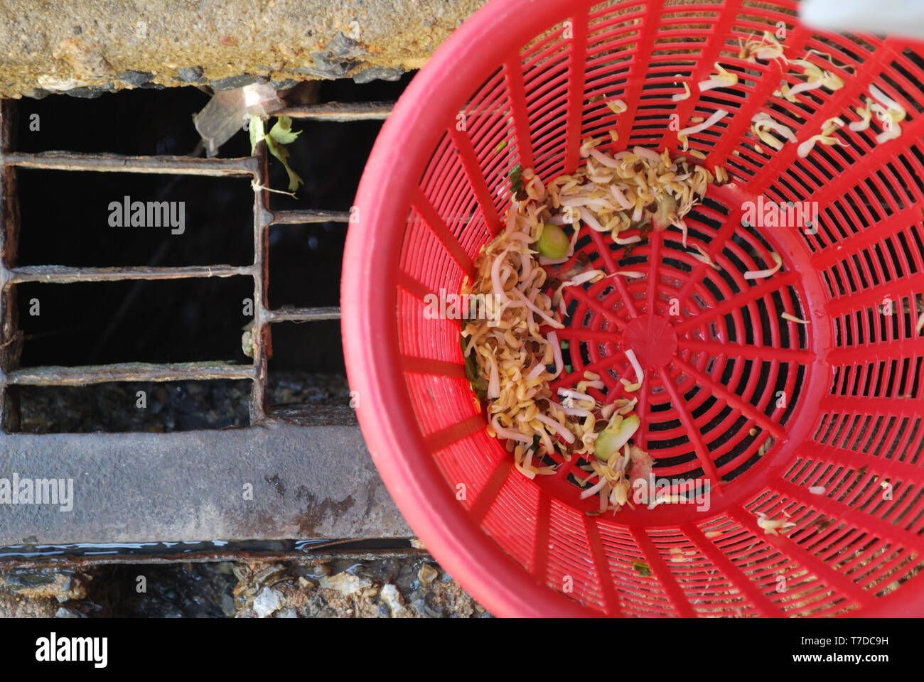 The basket that is filtered for food waste before being released into ...