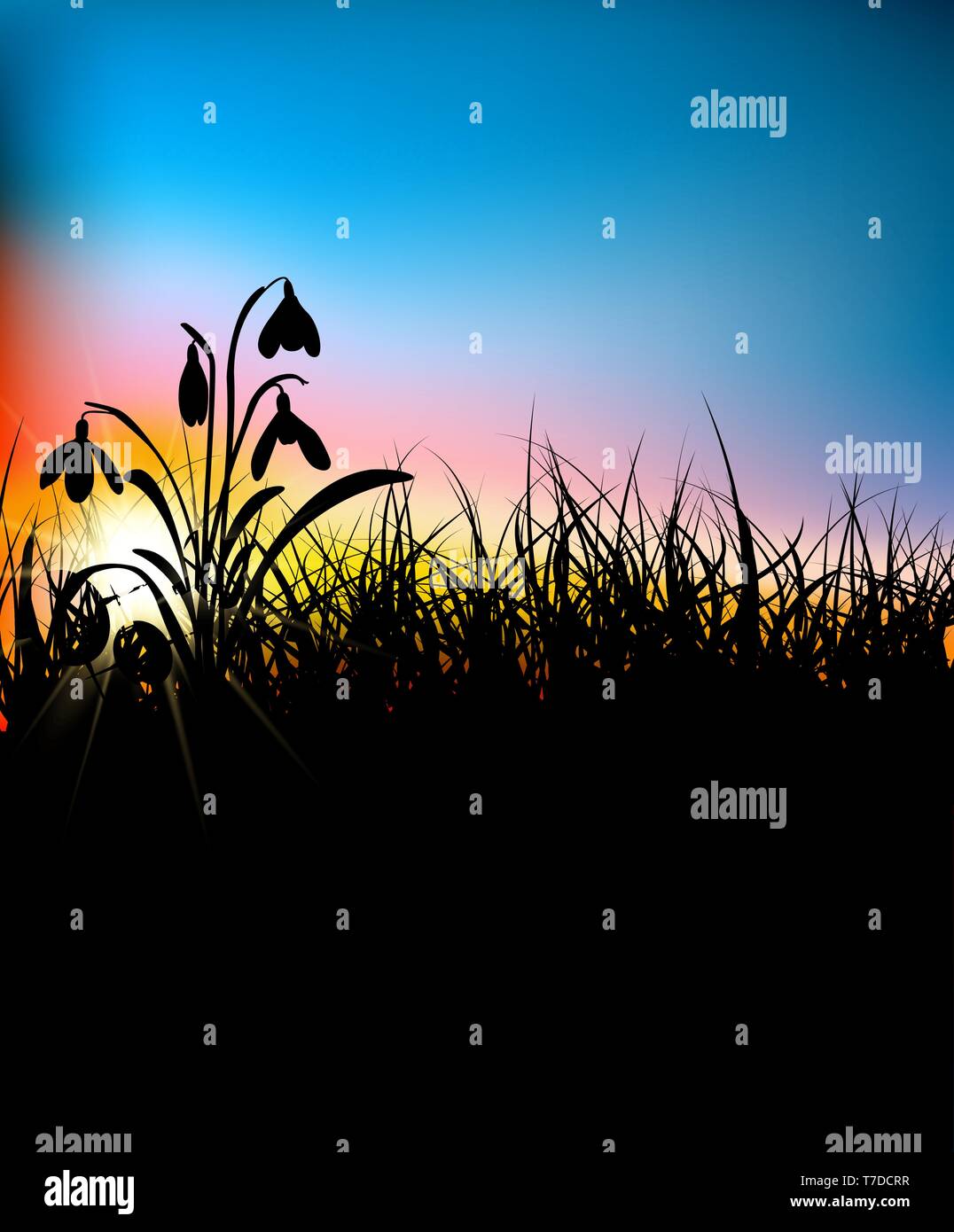 Spring vector grass dawn background with place for your text Stock ...
