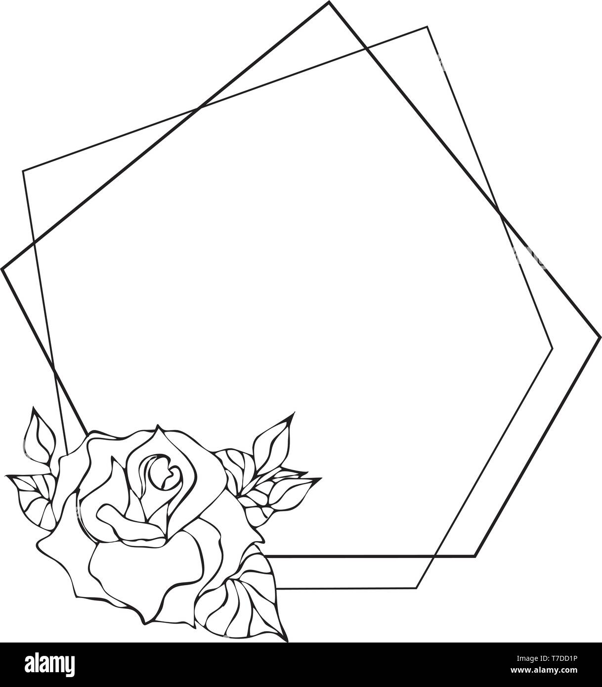 Wild rose frame, flowers drawing and sketch with line-art on white ...