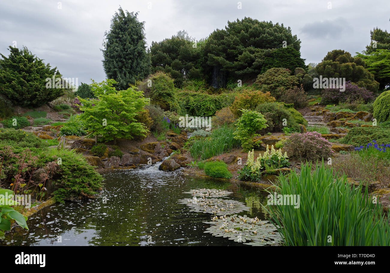 Overcast garden uk hi-res stock photography and images - Alamy