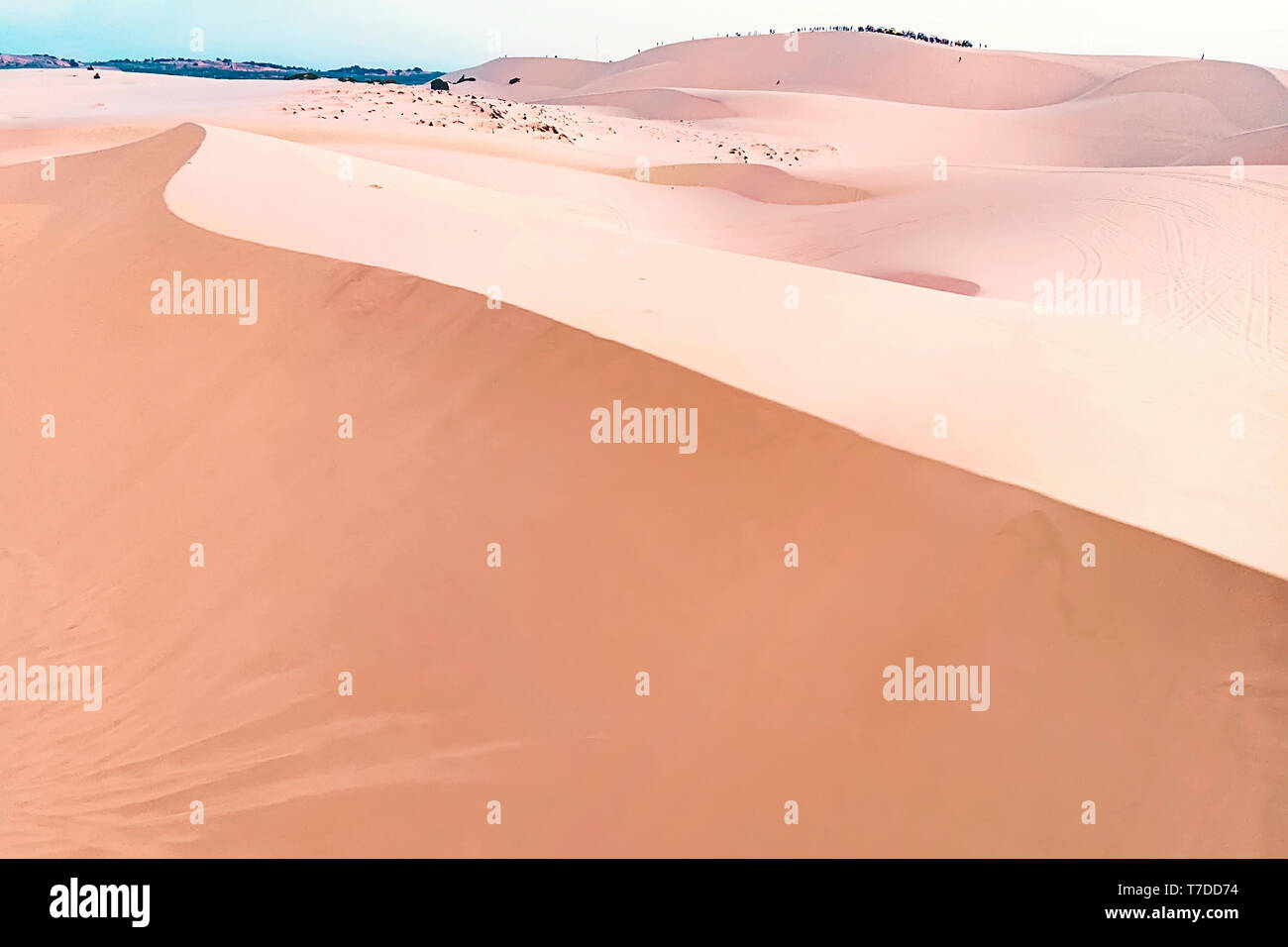 Sandy landscape. Sand with a reddish pink tint. long sand dune Stock ...