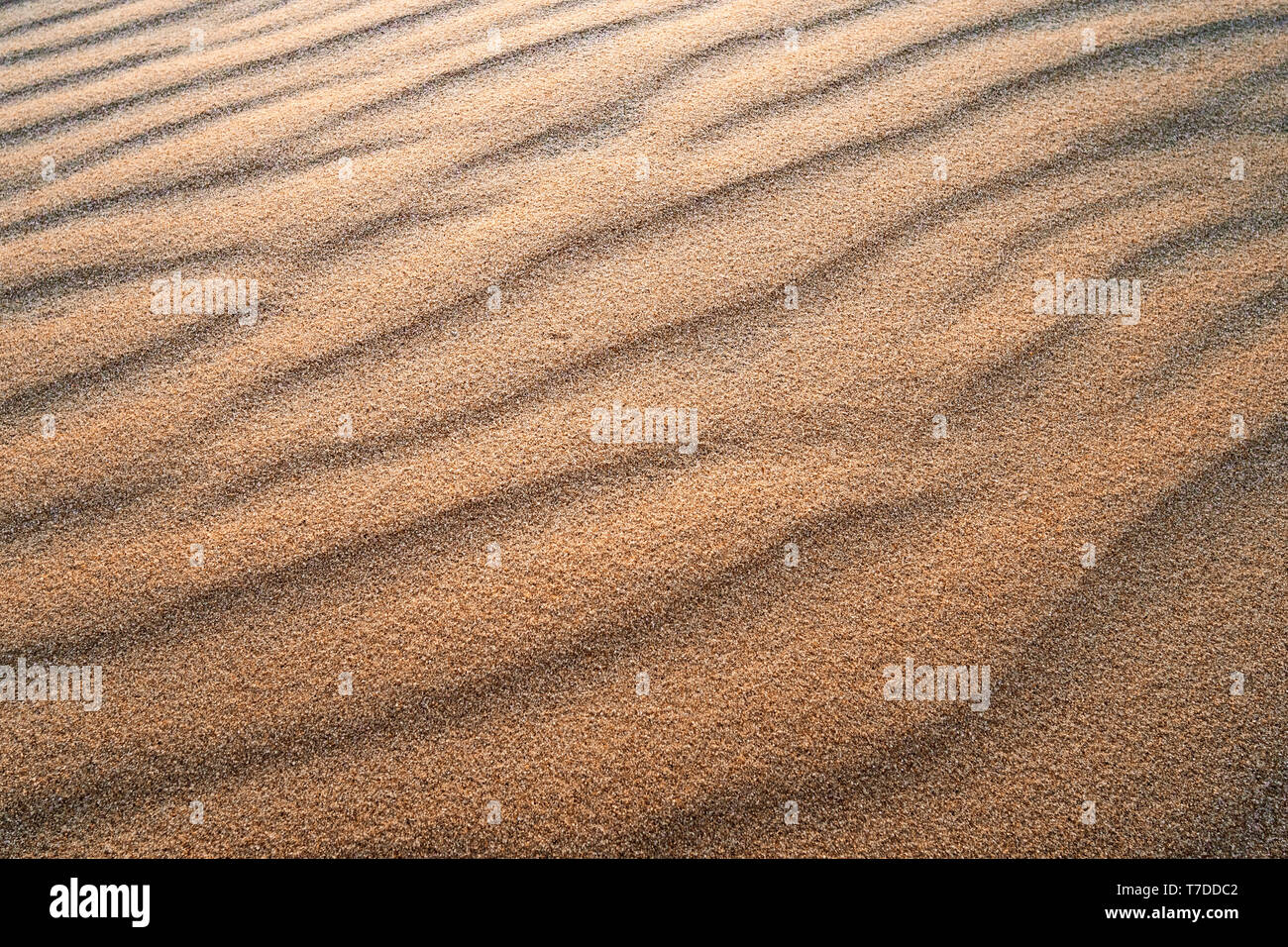 Dune strips hi-res stock photography and images - Alamy