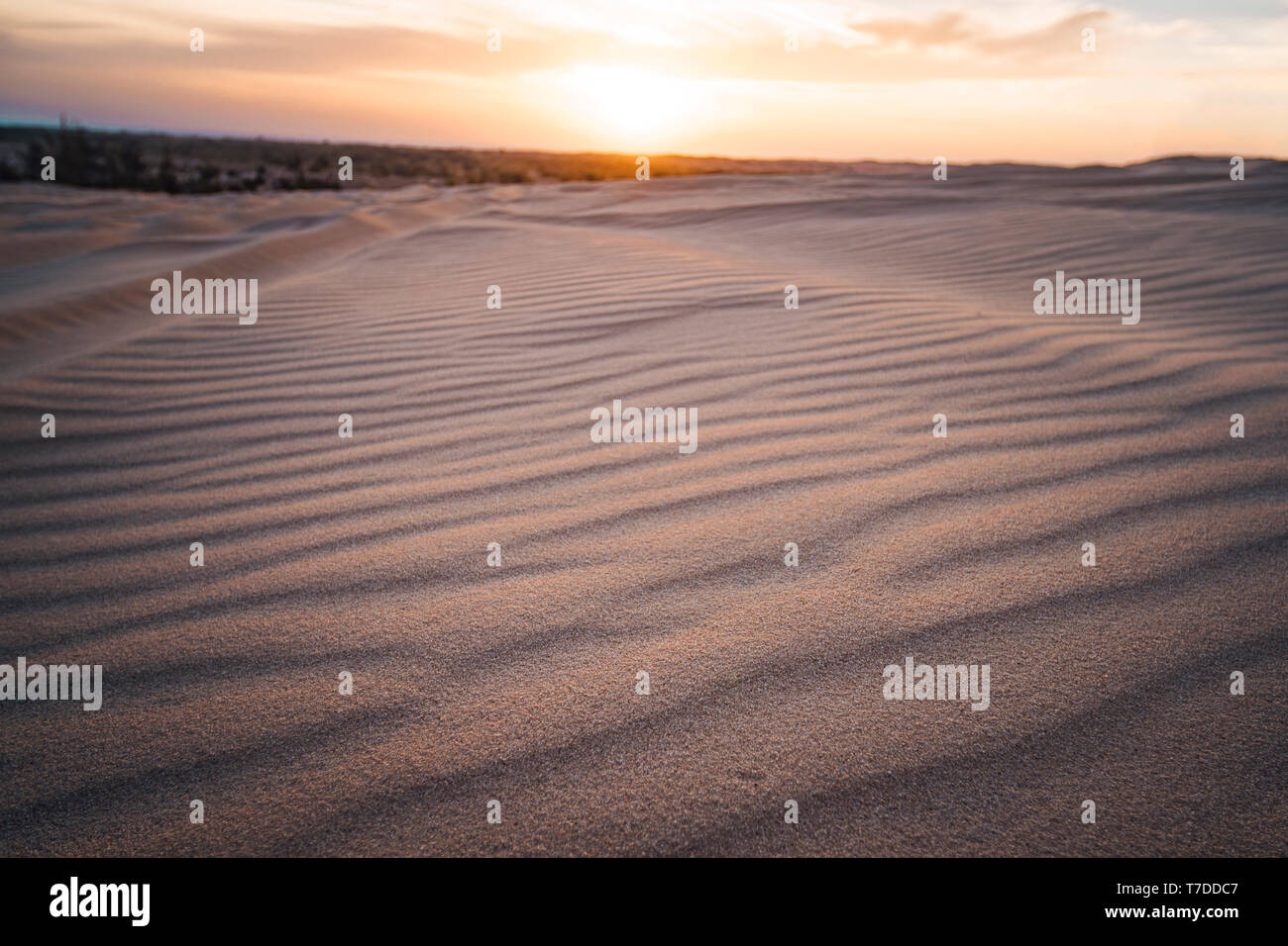 Magic orange and pink color scenic sunrise dawn over desert. Landscape ...