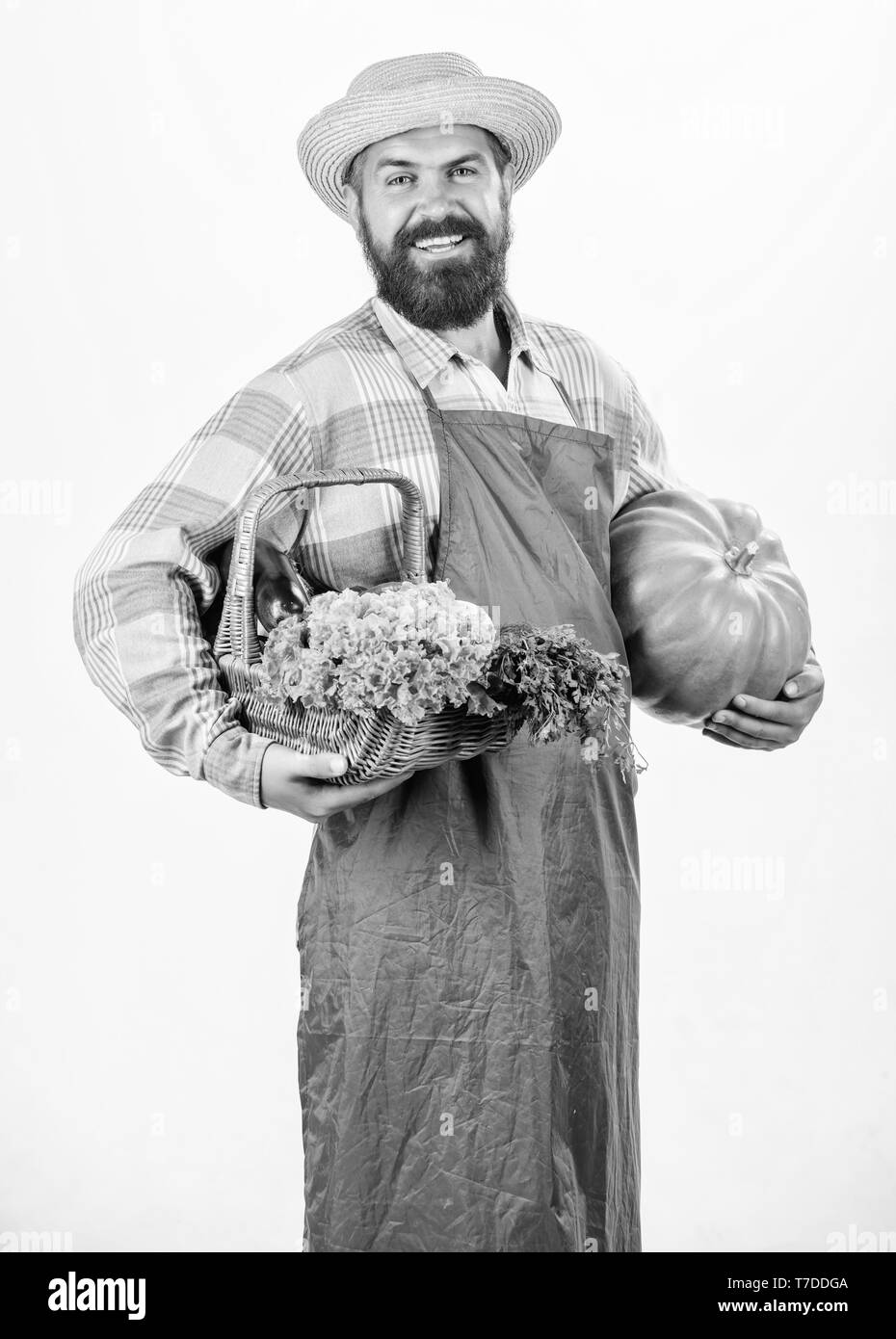 Autumn harvest concept seasonal Black and White Stock Photos & Images ...