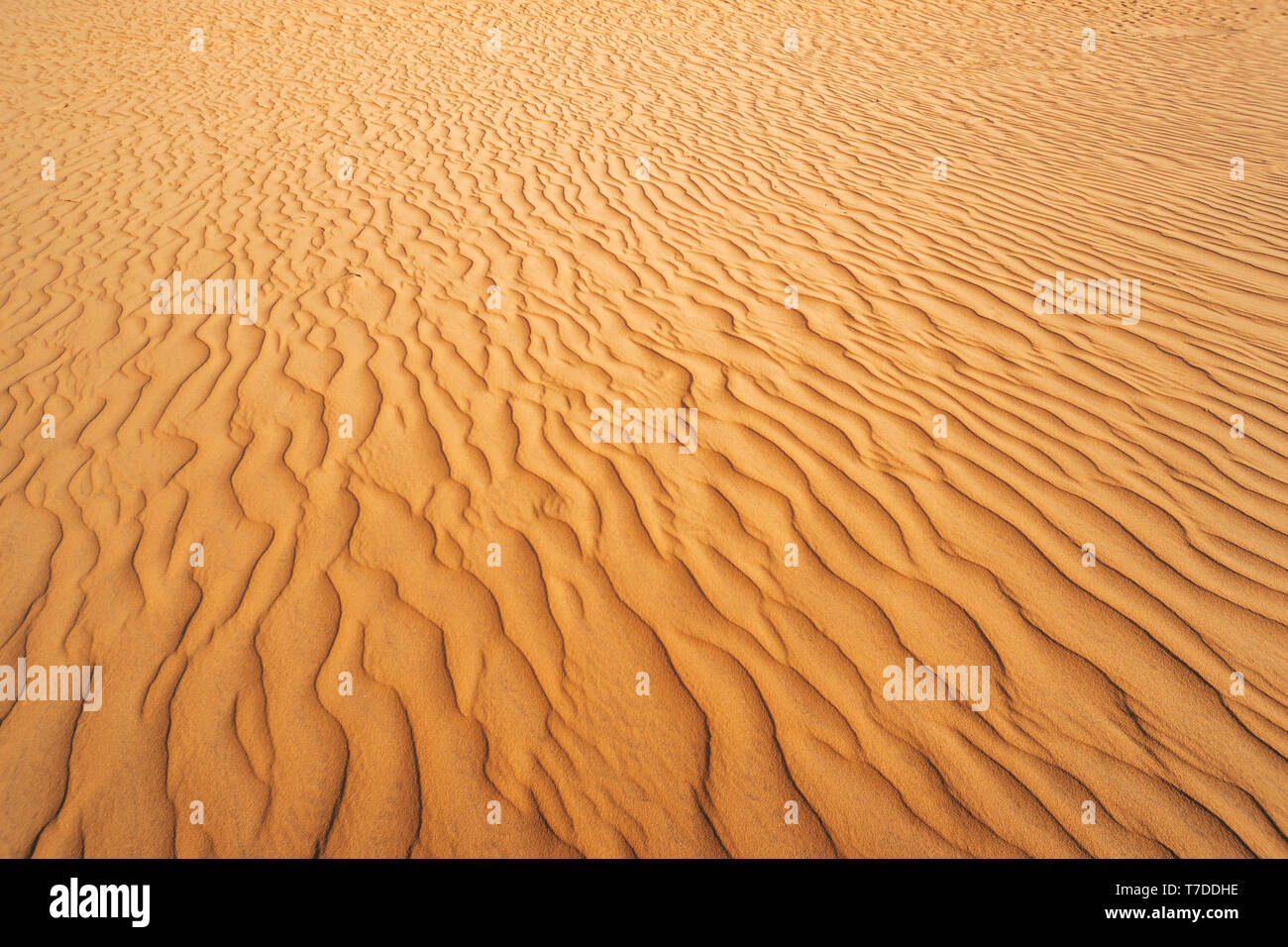 Abstract texture. Background with smooth lines of sand. Sand dunes ...