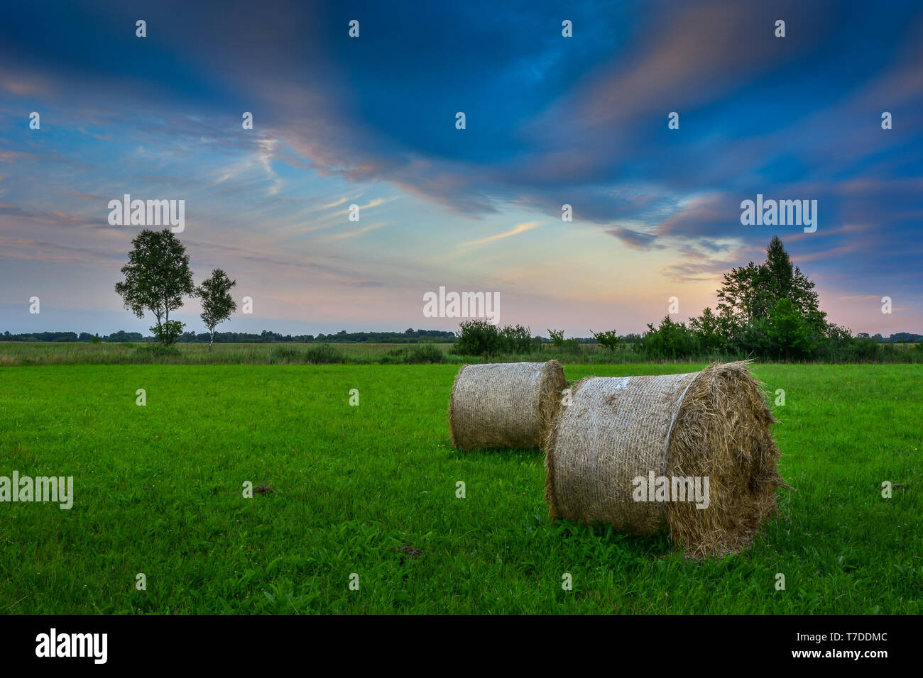 Beautiful picture meadow hi-res stock photography and images - Alamy