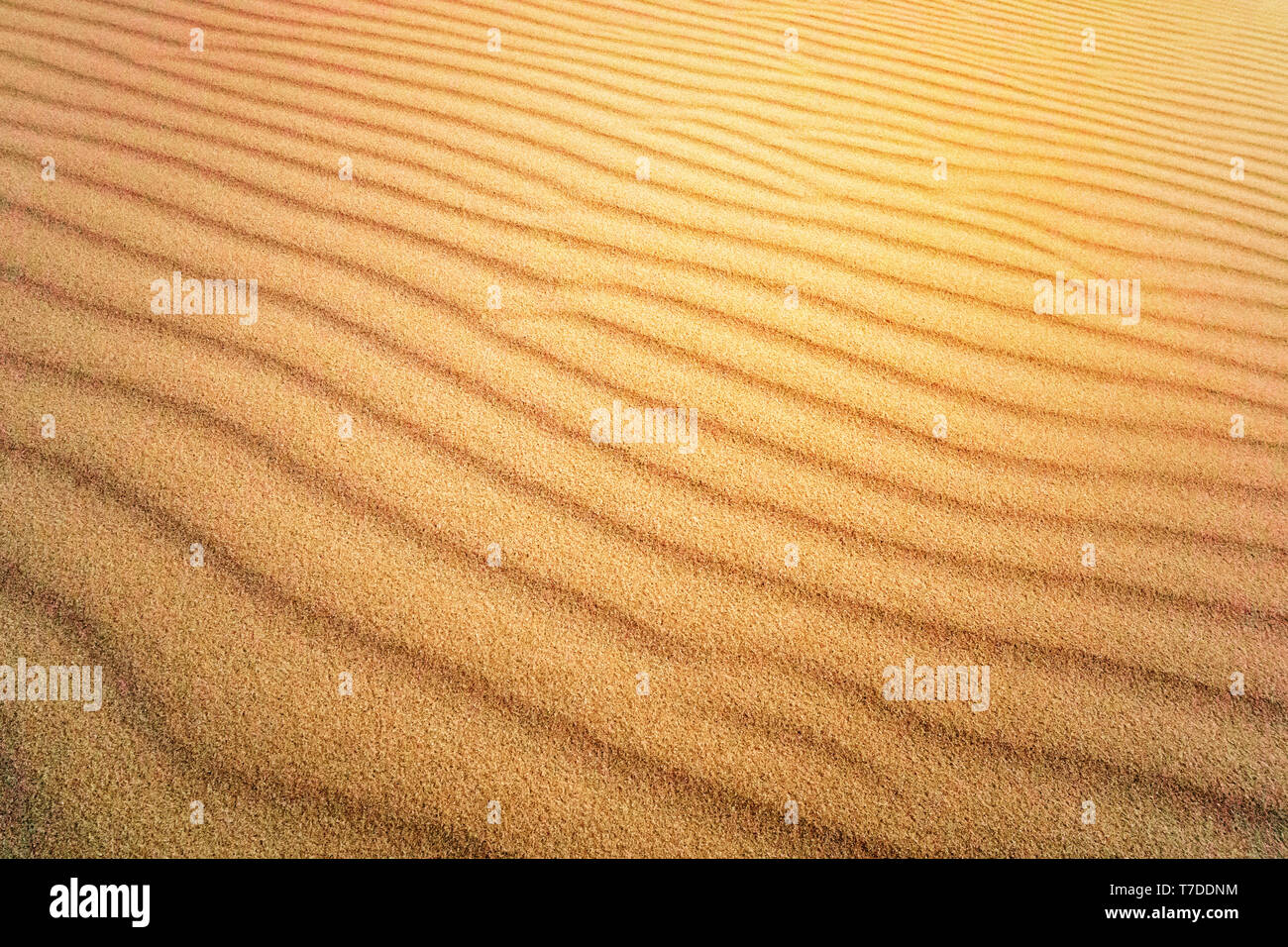 Sand Texture. Background from fine sand. Sand background. yellow dune ...