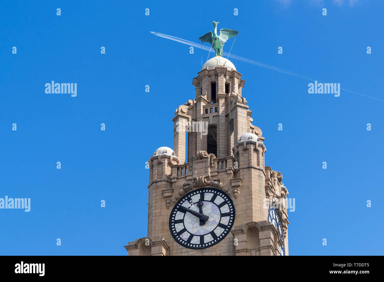 Royal Liver building with Liverbird Stock Photo - Alamy