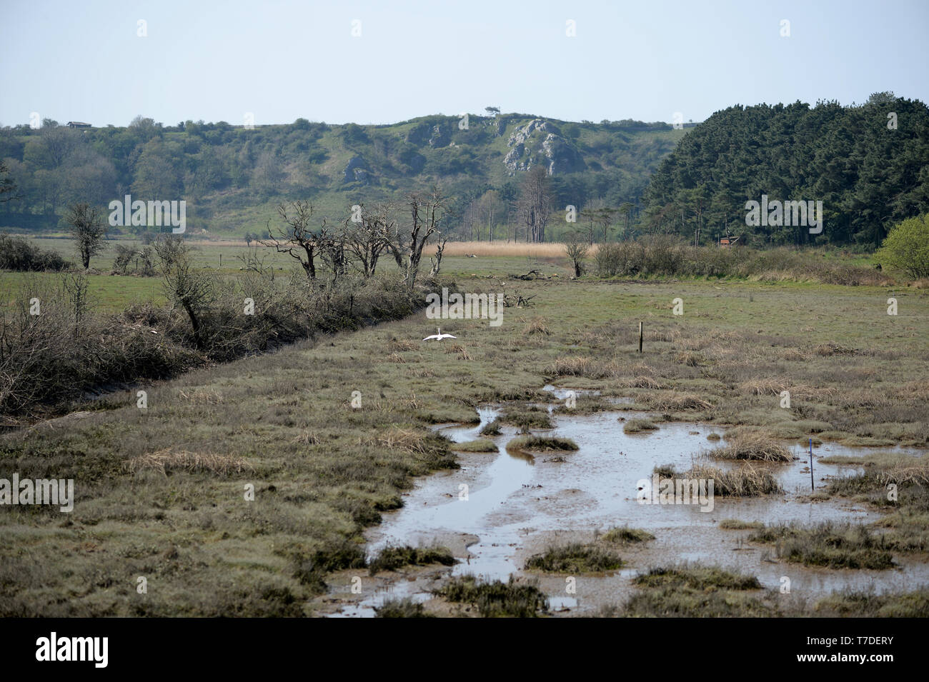 Water flooding over land hi-res stock photography and images - Alamy