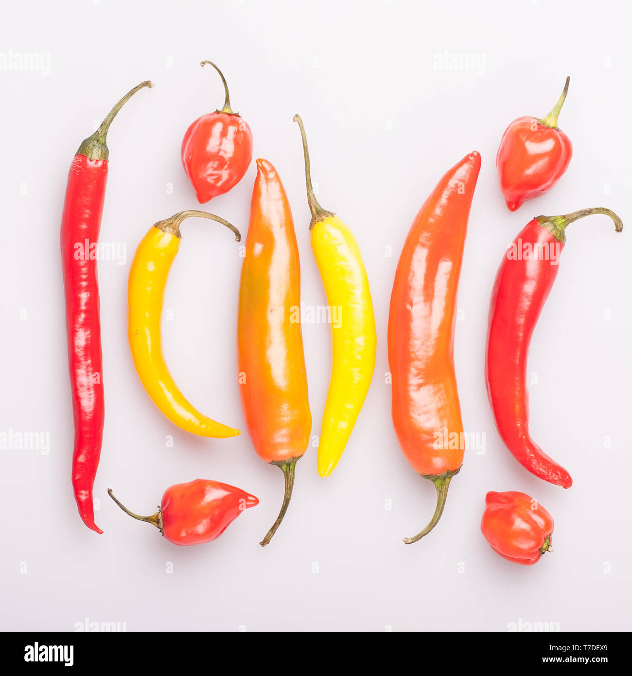 Heap of various chili peppers isolated on white background. Cooking ...