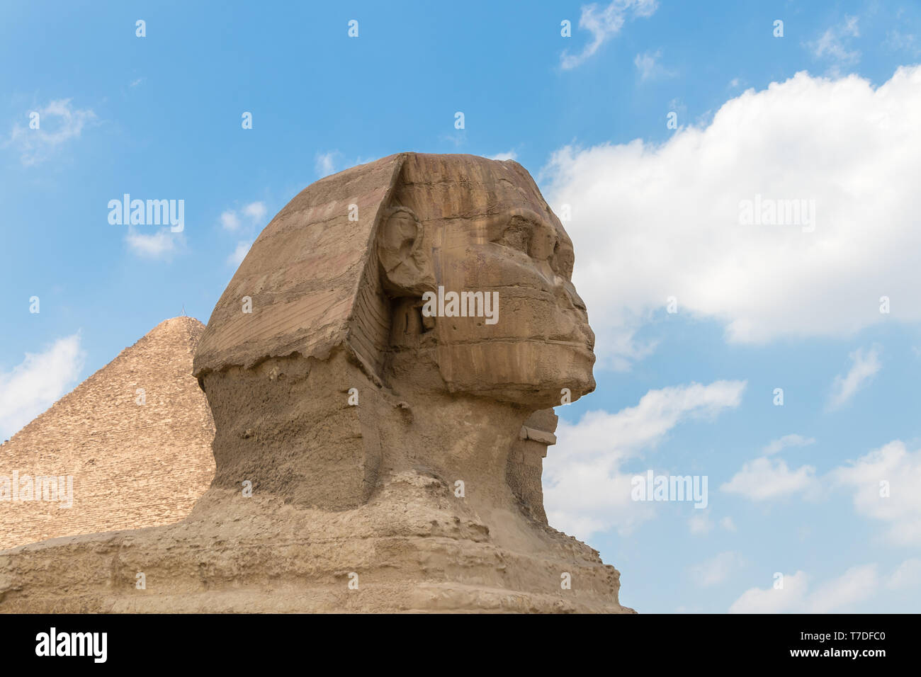 Close up head great sphinx hi-res stock photography and images - Alamy