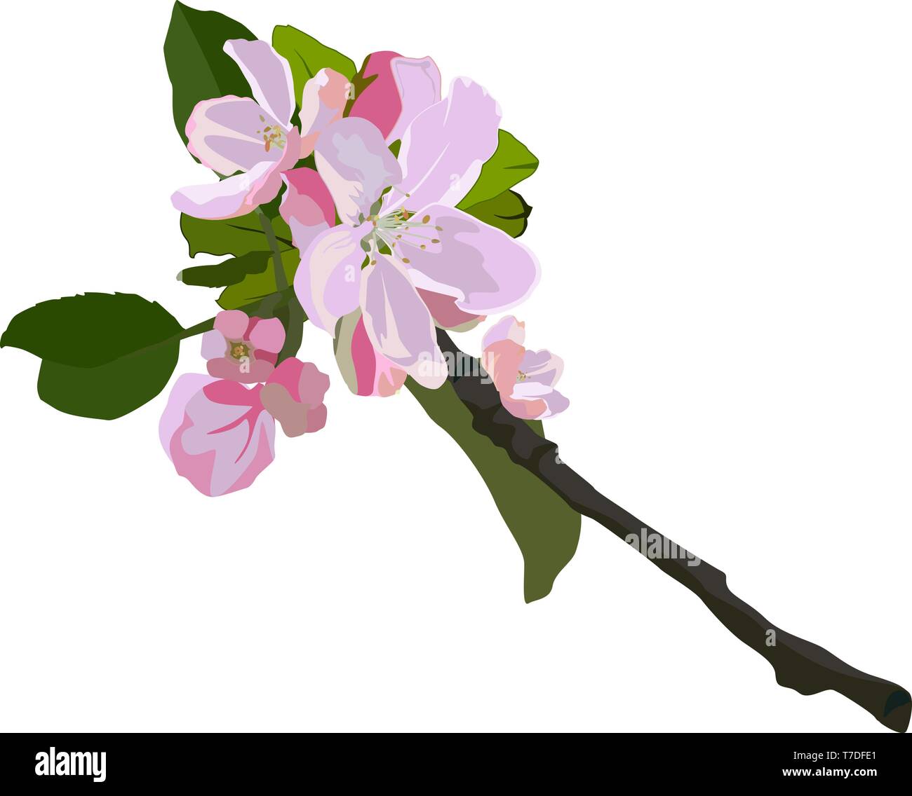 Apple Tree Branch Clipart