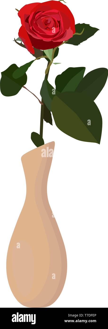 Single red rose in vase vector flat isolated illustration Stock Vector ...