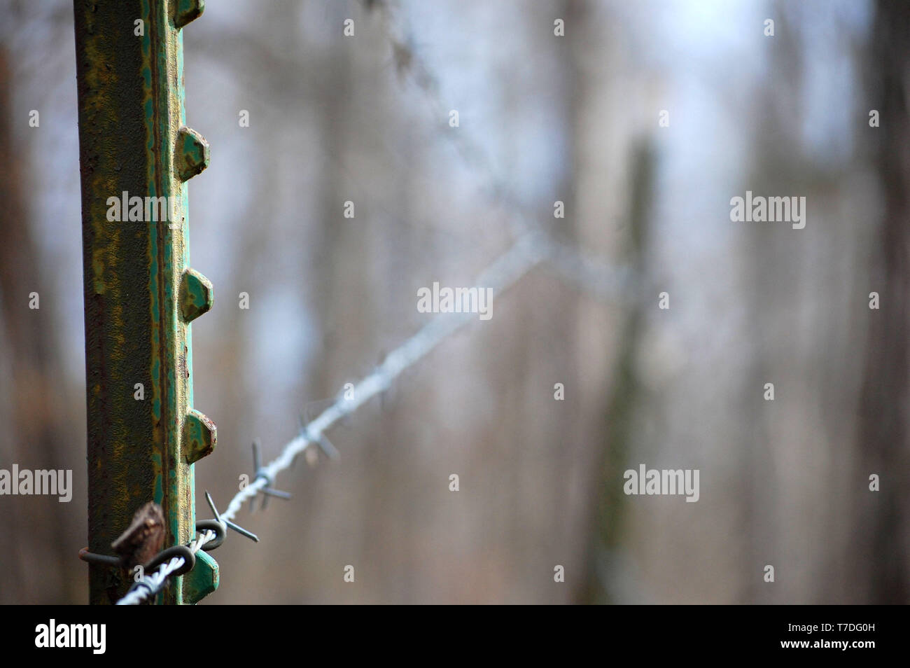 Close-up shot of a barbed wire fence Stock Photo - Alamy