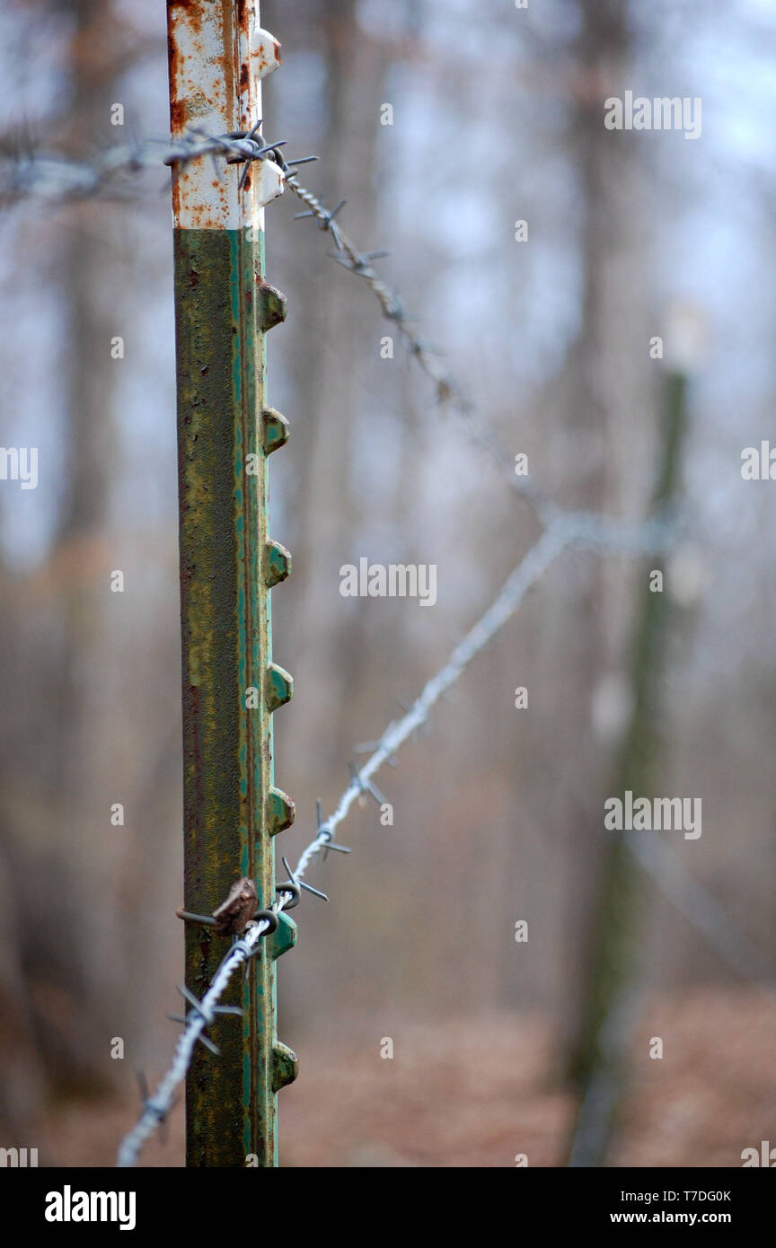 Close-up shot of a barbed wire fence Stock Photo - Alamy