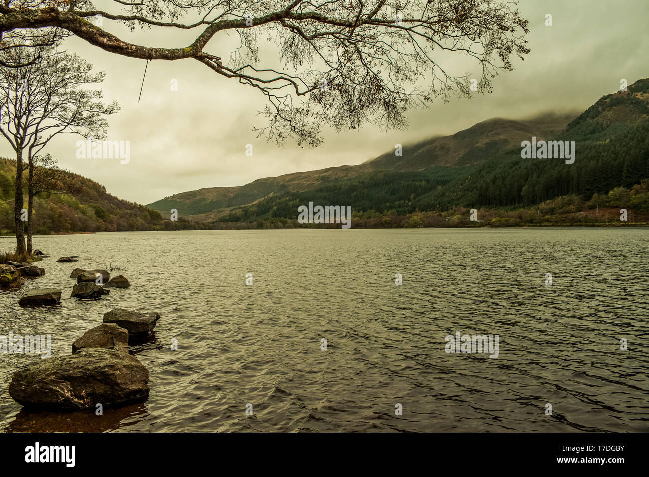 Aberdeen aberdeenshire scotland river grass hi-res stock photography ...