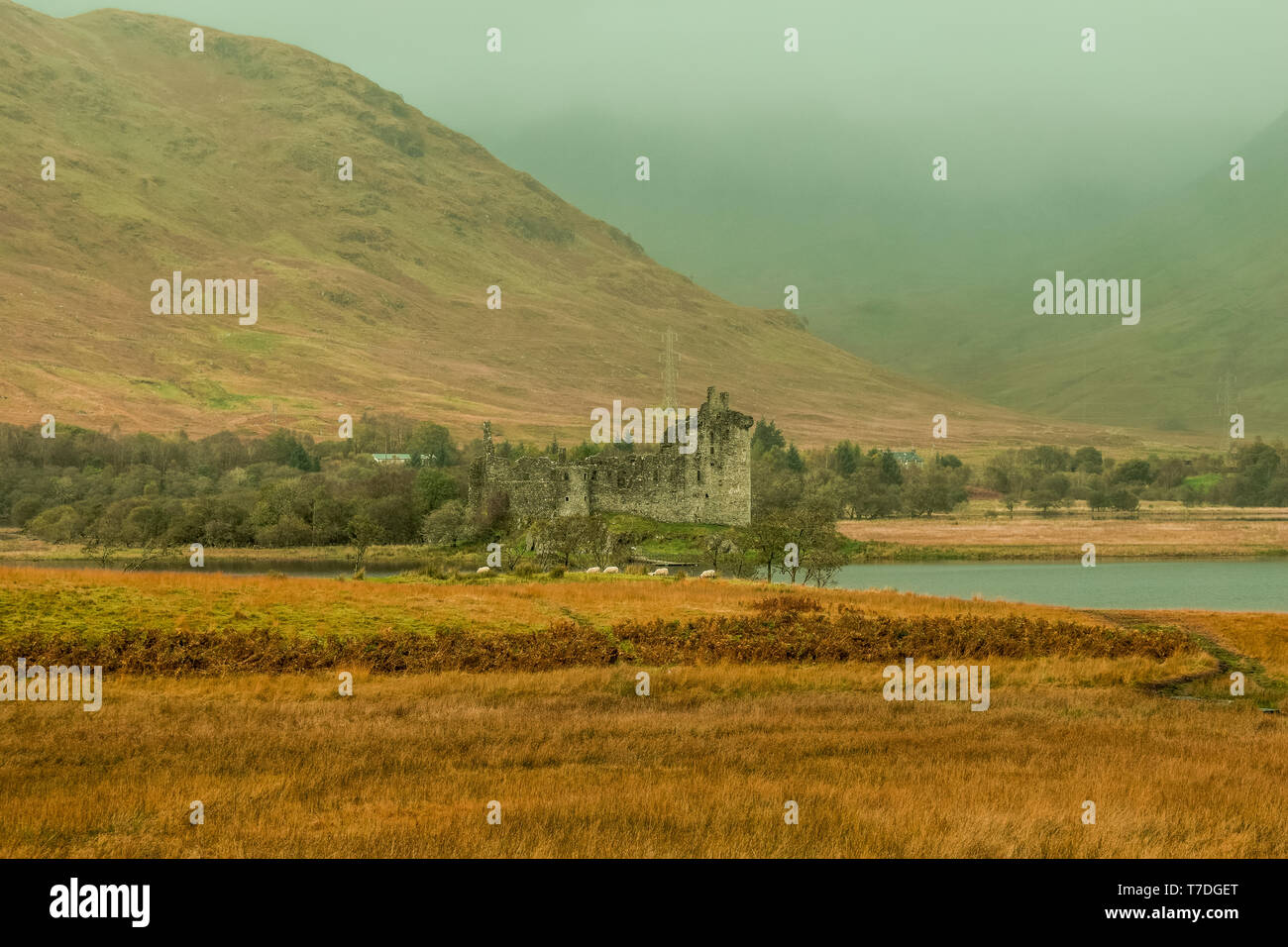 Beautiful Scotland landscapes Stock Photo - Alamy