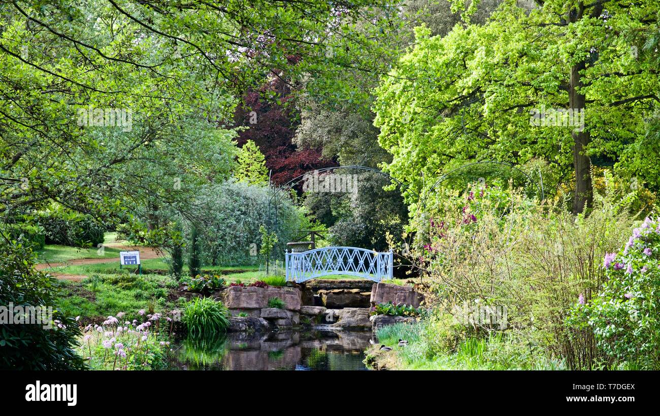 Swiss Garden at Shuttleworth - Cascade bridge Stock Photo - Alamy