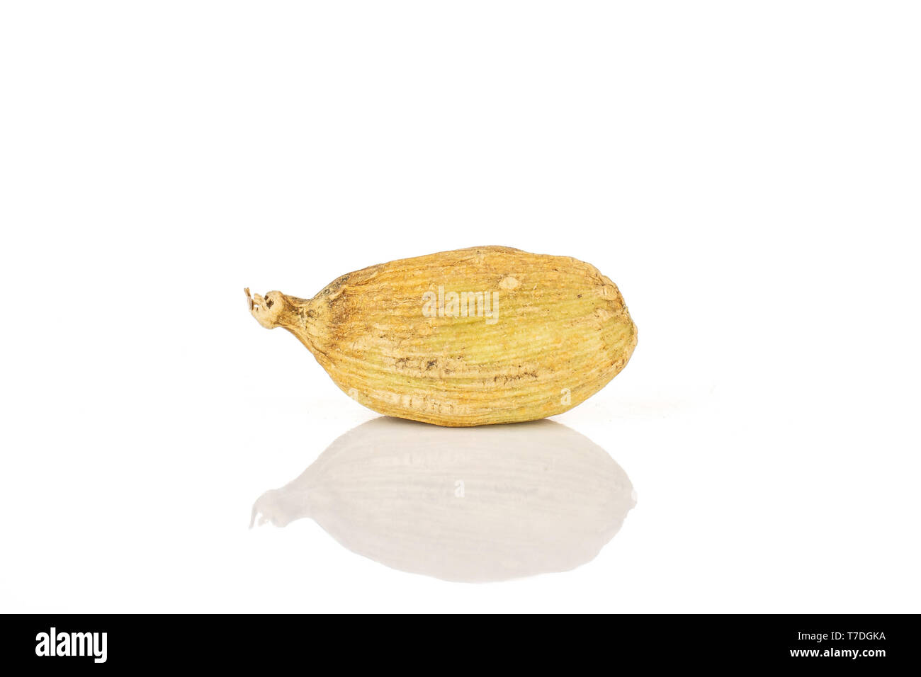 One whole true cardamom pod isolated on white background Stock Photo ...