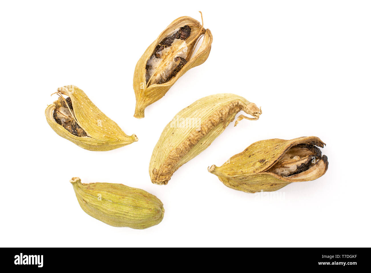 Group of five whole true cardamom pod flatlay isolated on white ...