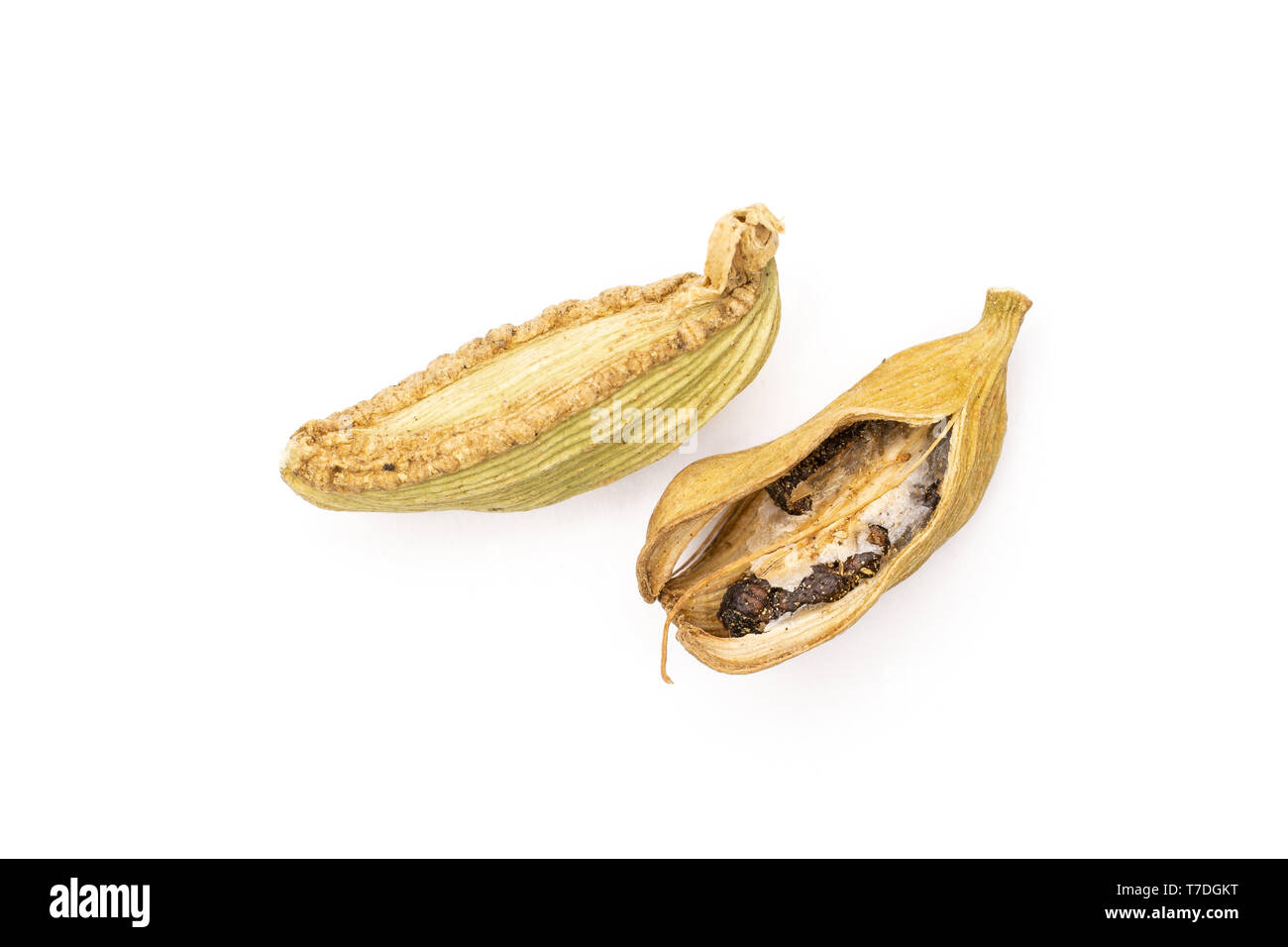 Group of two whole true cardamom pod flatlay isolated on white ...