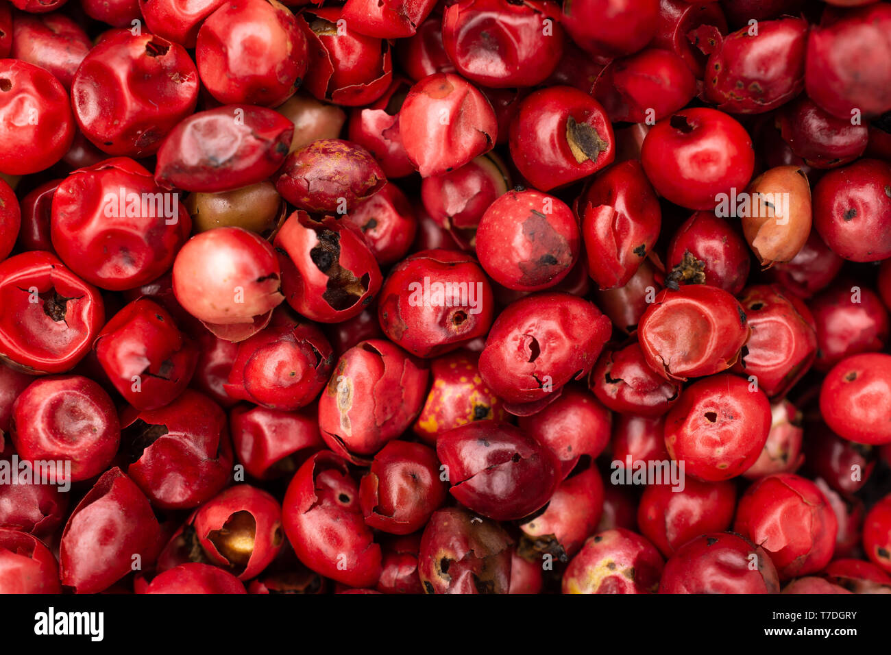 Pink peppercorn schinus molle hi-res stock photography and images - Alamy