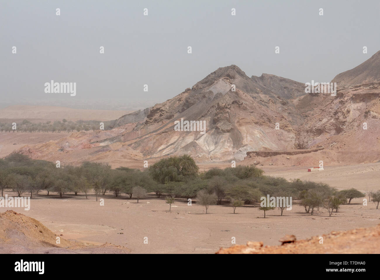 Sir Baniyas Island, Abu Dhabi, UAE Stock Photo - Alamy