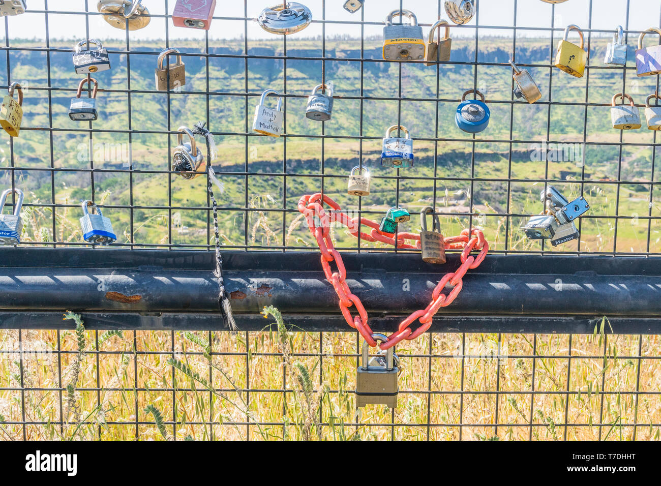 Many lover's padlocks and other locks are locked to the fence ...